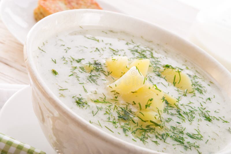 Dill soup stock image. Image of cold, gourmet, appetizer - 28678567