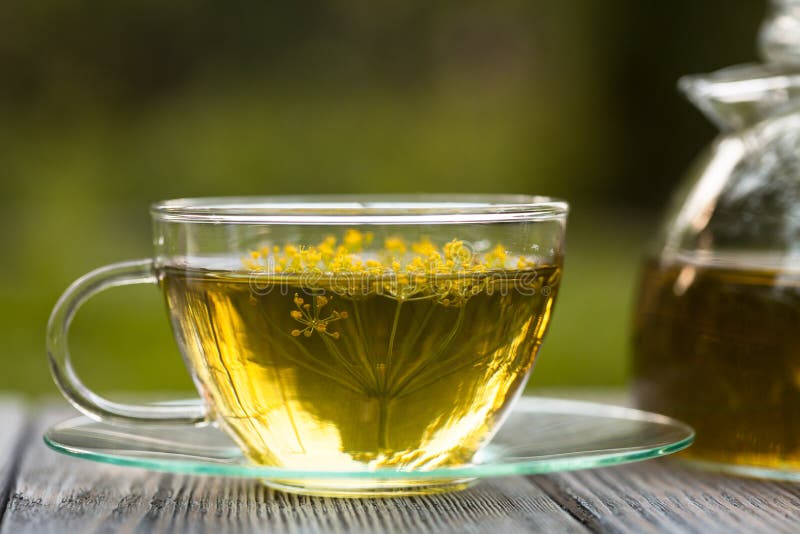 Dill tea stock photo. Image of dill, relax, medicine - 44871650