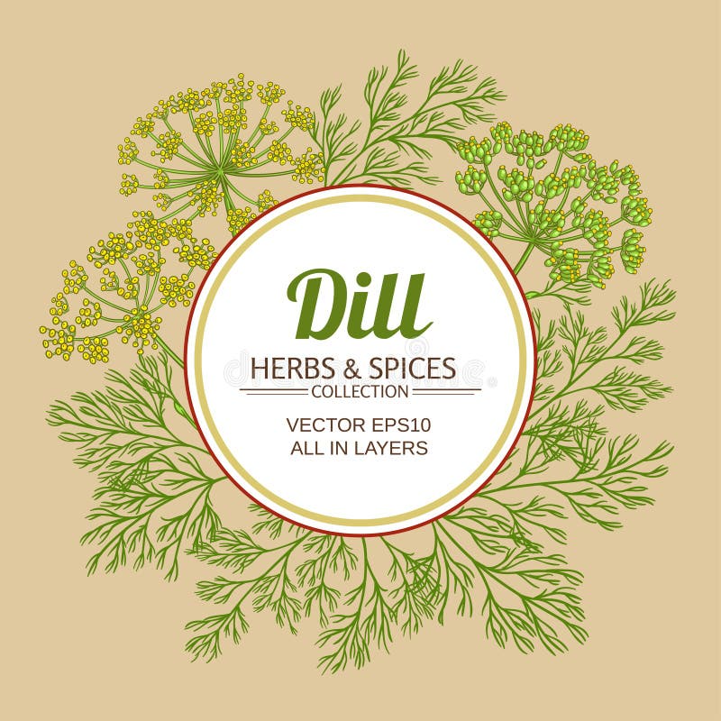 Dill vector frame stock vector. Illustration of graphic - 140972753