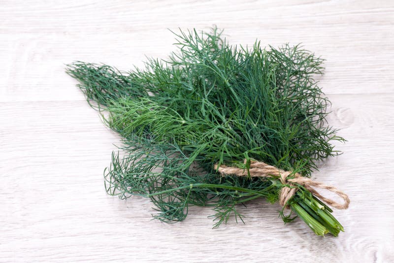 Dille stock afbeelding. Image of landbouw, groen, tuin - 116951991