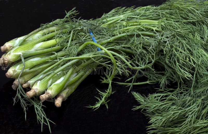 Dille stock foto. Image of ingrediënten, voedsel, vers - 17367356