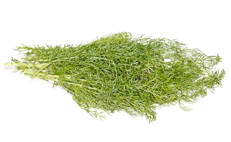 Dille stock foto. Afbeelding bestaande uit dille - 28027450