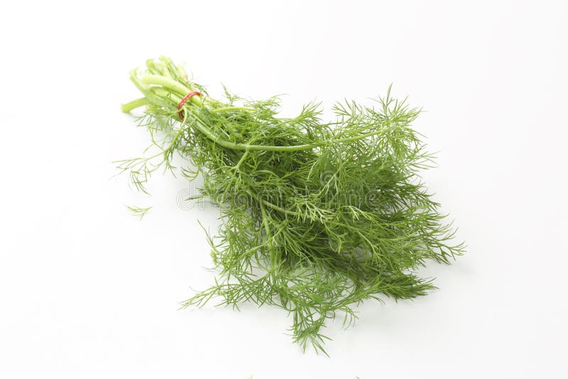 Dille stock foto. Image of kruiden, ongekookt, kruid, dille - 3988740