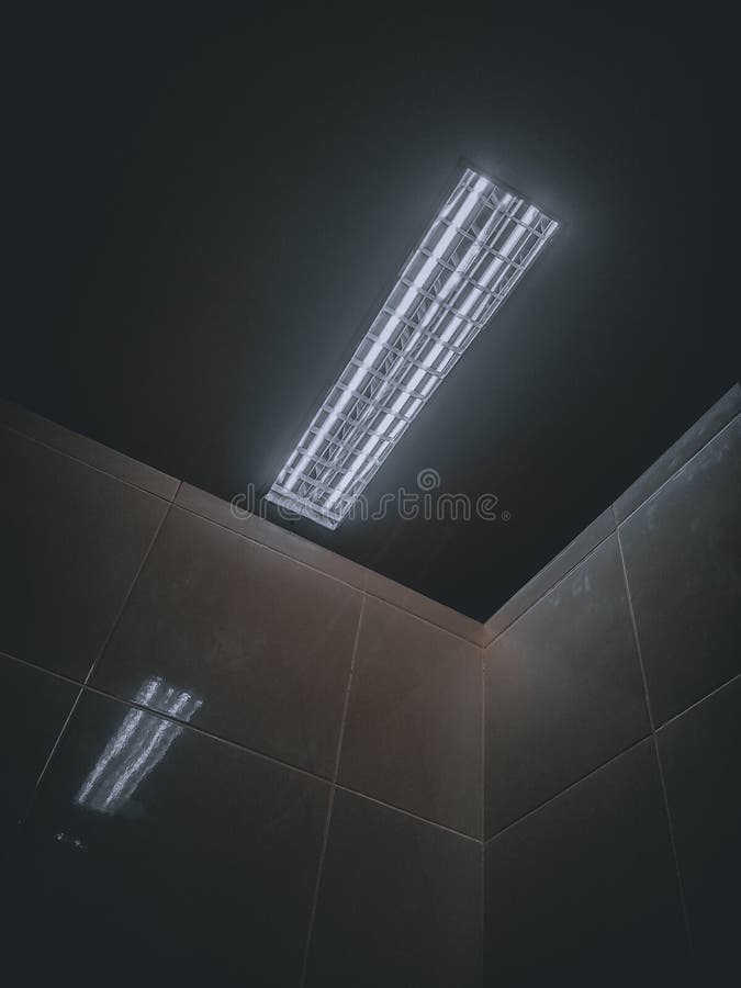 Dim neon lights stock image. Image of design, wall, night - 262061227
