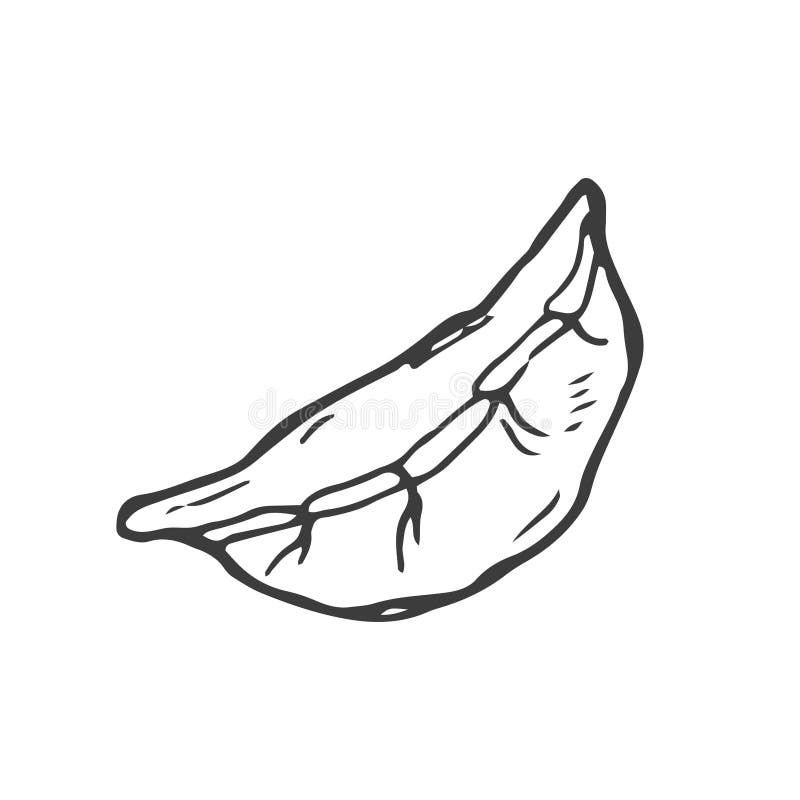 Dim Sum Icon. Thin Line Dim Sum Icon Doodle Sketch Stock Vector ...