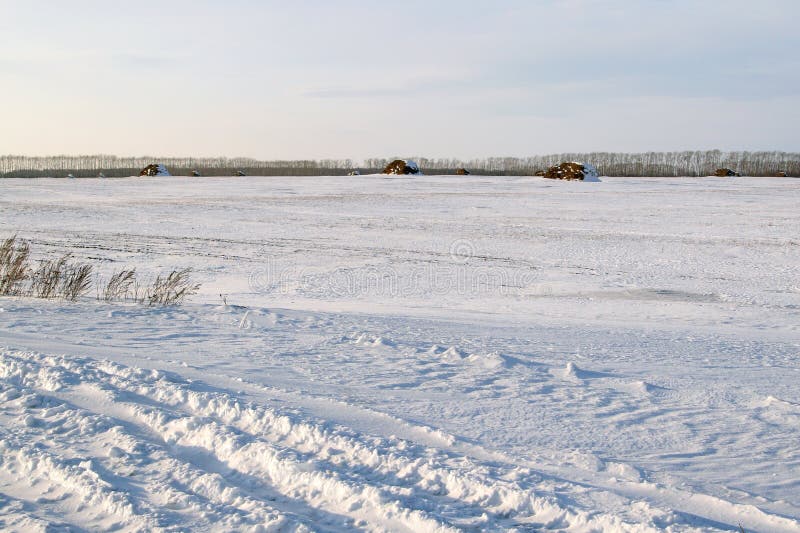 The Dim Winter Landscape in Russia. Stock Photo - Image of agriculture ...
