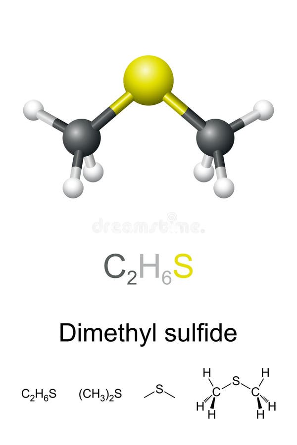 Dimethyl Sulfide, DMS, Chemical Formula and Molecule Model Stock Vector ...
