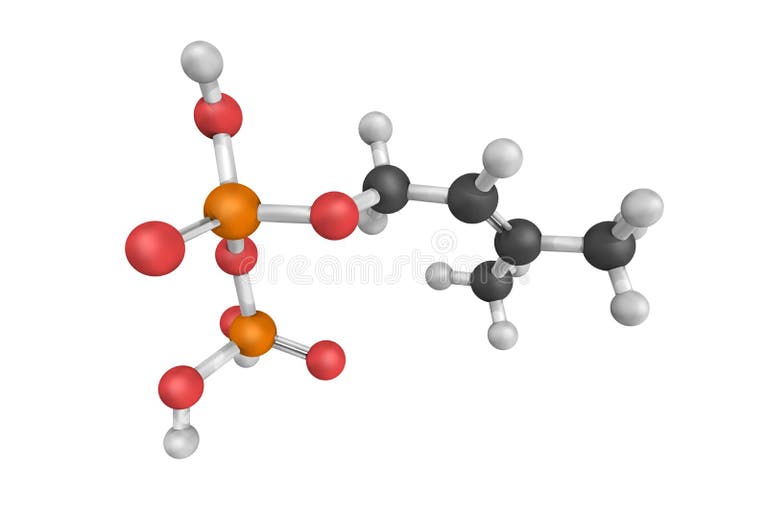 179 Molecular Pathway Stock Photos - Free & Royalty-Free Stock Photos ...