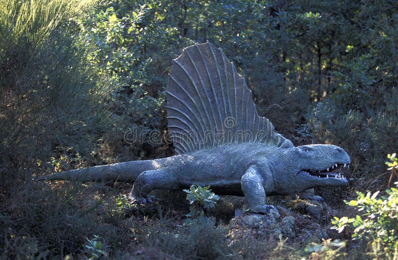 112 Dimetrodon Stock Photos - Free & Royalty-Free Stock Photos from ...
