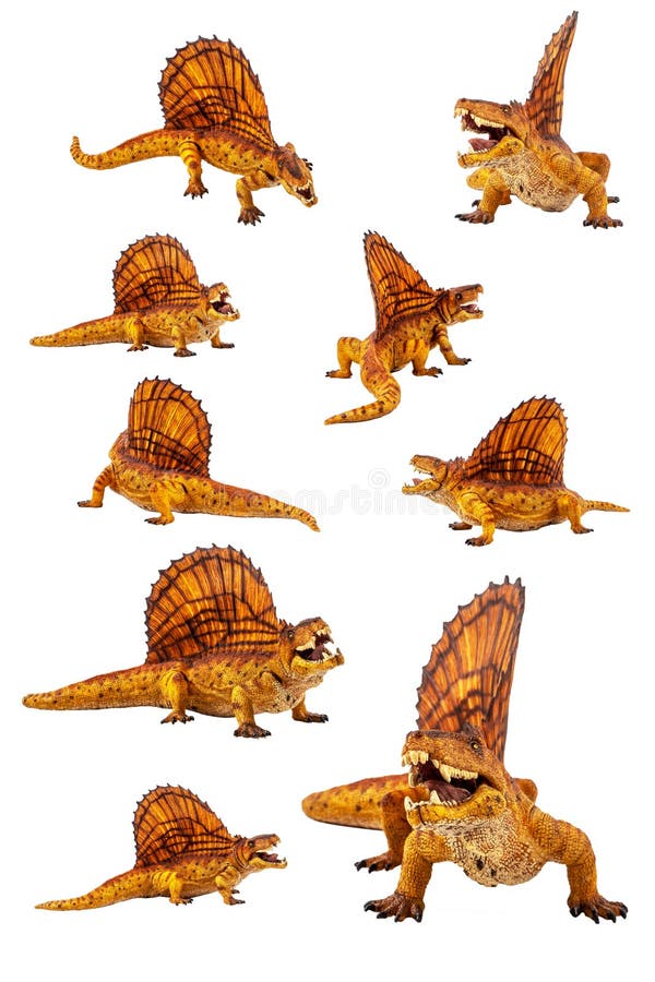 112 Dimetrodon Stock Photos - Free & Royalty-Free Stock Photos from ...