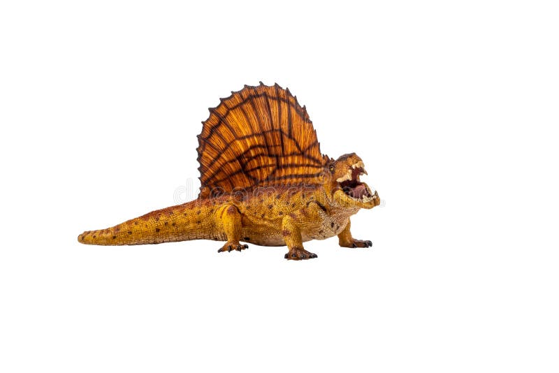 Dimetrodon Dinosaur on White Background Stock Photo - Image of ancient ...
