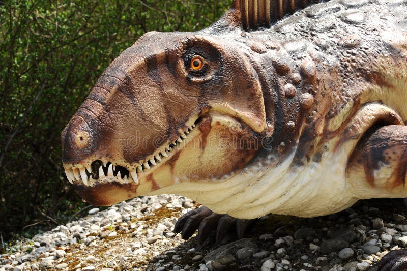 Dimetrodon Model Face Head Stock Photos - Free & Royalty-Free Stock ...
