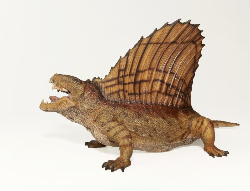 A Dimetrodon, A Permian Predatory Reptile Stock Photo - Image of ...