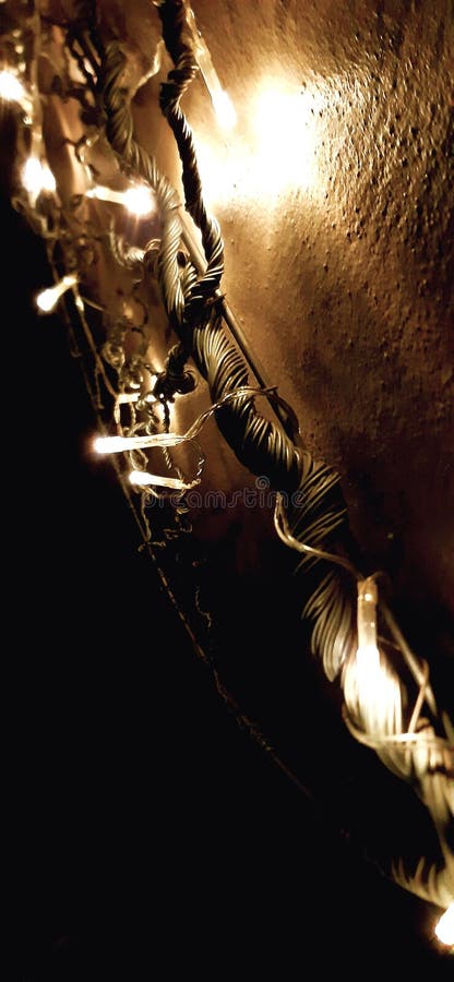 Dimmed Lights, Dark Nights. an Inanimate Tree of Life Stock Photo ...