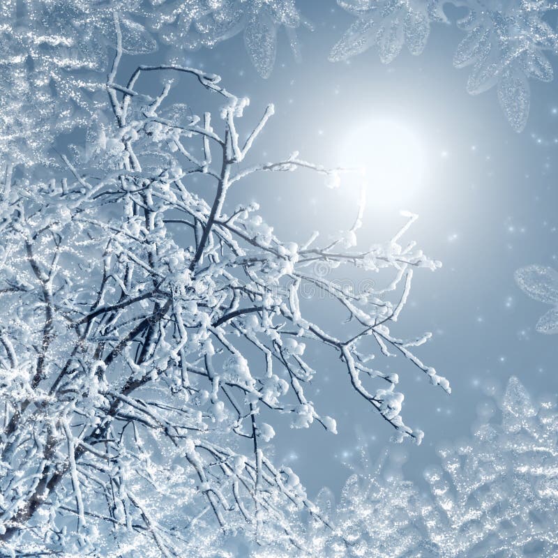 Vinterbild arkivfoto. Bild av tree, rimfrost, kallt, trees - 34891328