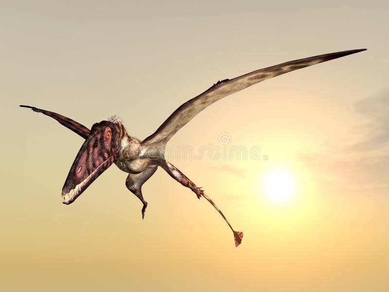 Dimorphodon stock illustration. Illustration of dinosaur - 25604128