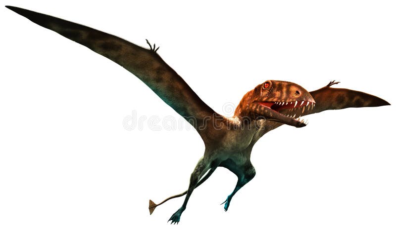 Dimorphodon stock illustration. Illustration of science - 25604243