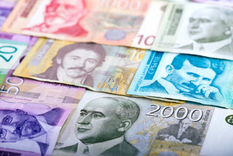 Dinaro serbo - banconote immagine stock. Immagine di banconota - 99850975