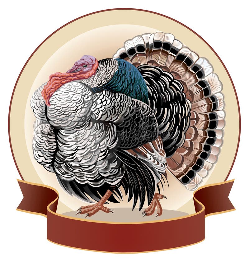 Gros Dindon Qui Sera Préparé Pour Le Jour De Thanksgiving Illustration ...