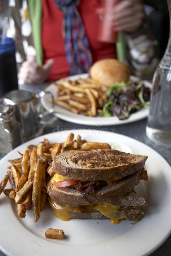 Diner Food stock photo. Image of warm, fries, grease - 12329516