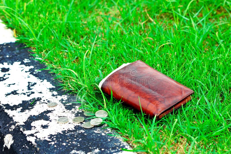 Dinero Perdido En La Hierba Imagen de archivo - Imagen de futurista ...
