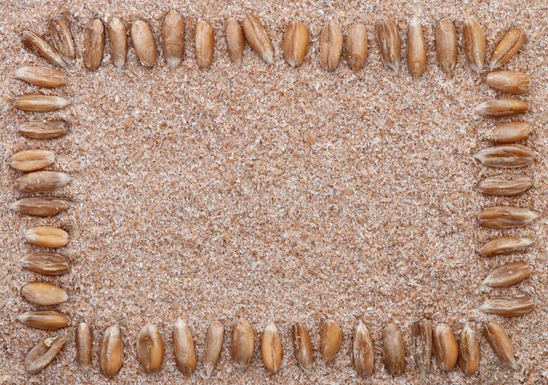 Dinkel wheat stock image. Image of grain, wheat, food - 25361955