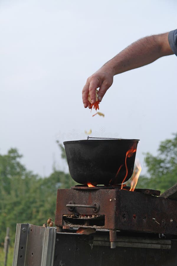 Dinner Cooking on an Open Fire in the Garden Stock Image - Image of ...