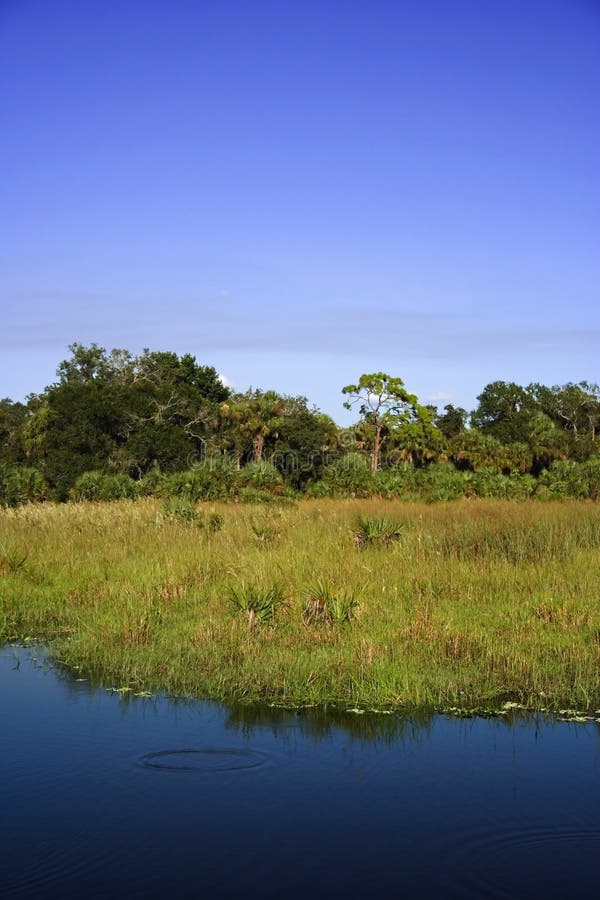 Dinner Island stock photo. Image of countryside, monument - 15525952