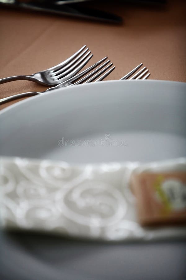 Dinner in a restaurant stock photo. Image of diner, buffet - 42938078