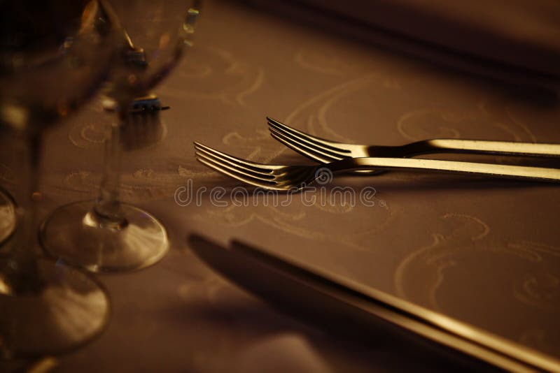 Dinner in a restaurant stock photo. Image of luxury, banquet - 41652926