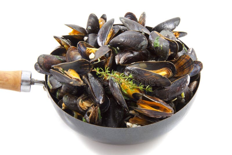 Dinner is served stock image. Image of nutrition, healthy - 20457547