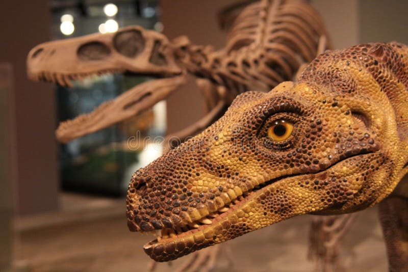 Dinosaur editorial stock image. Image of dinosaur, reproduction - 19038419