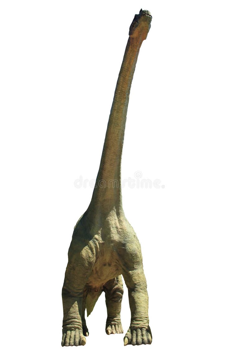 198 Dinosaur Reproduction Stock Photos - Free & Royalty-Free Stock ...