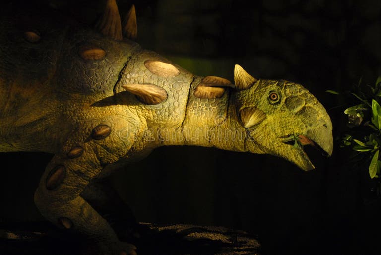 1,657 Dinosaur Realistic Stock Photos - Free & Royalty-Free Stock ...