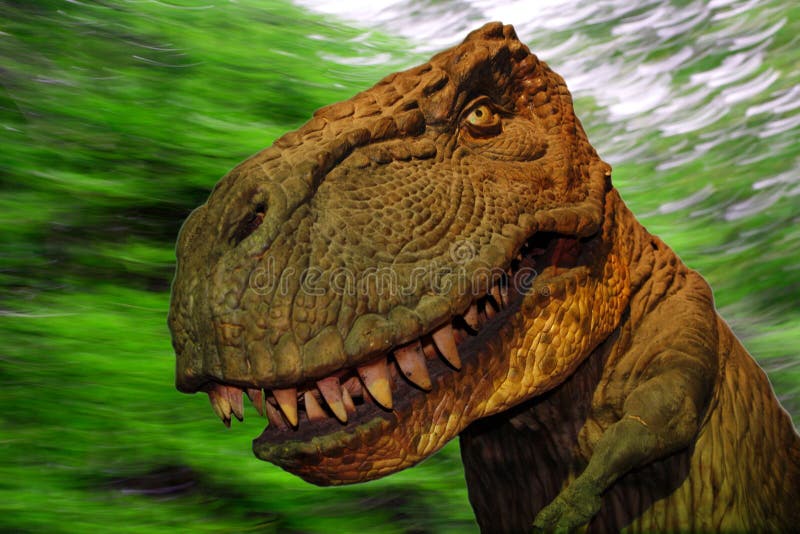 1,353 T Rex Photos - Free & Royalty-Free Stock Photos from Dreamstime