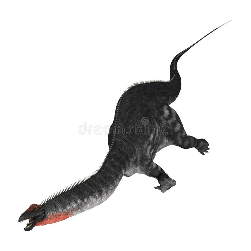 Dinosaur Apatosaurus on White Stock Illustration - Illustration of ...