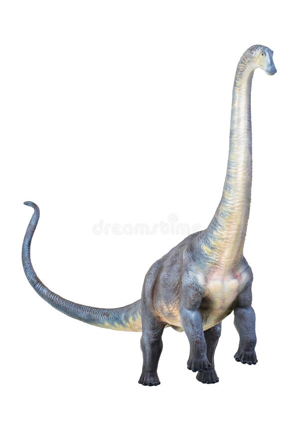 Fossil of Brontosaurus Black Background Stock Image - Image of fossil ...