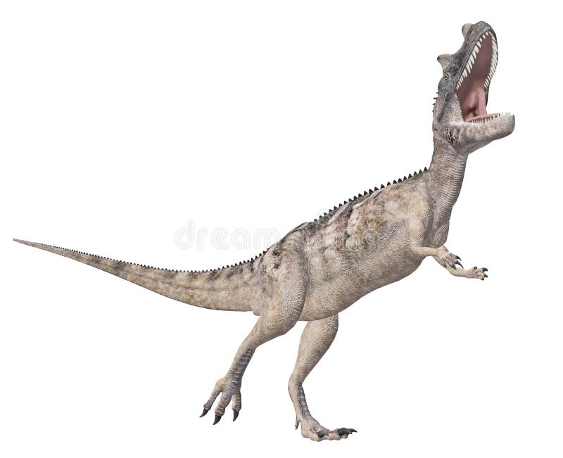 Dinosaur Ceratosaurus Isolated on White Background Stock Illustration ...