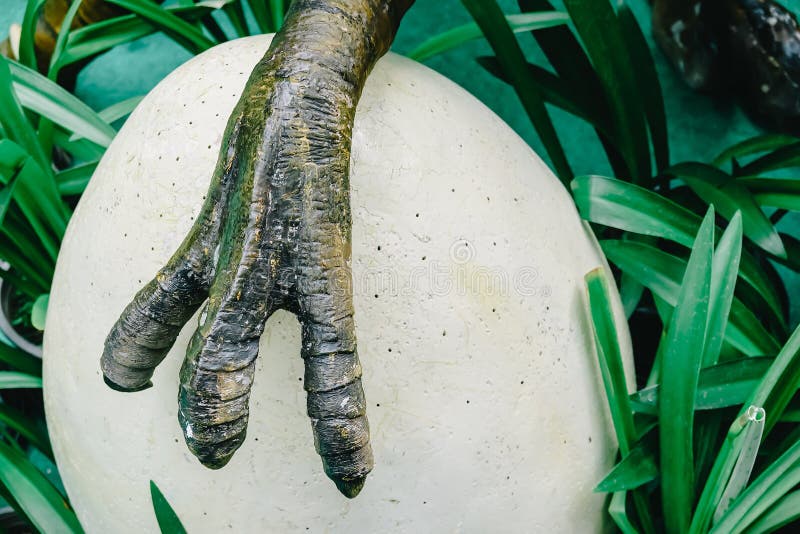 Foot Predator Full Videos Stock Photos - Free & Royalty-Free Stock ...