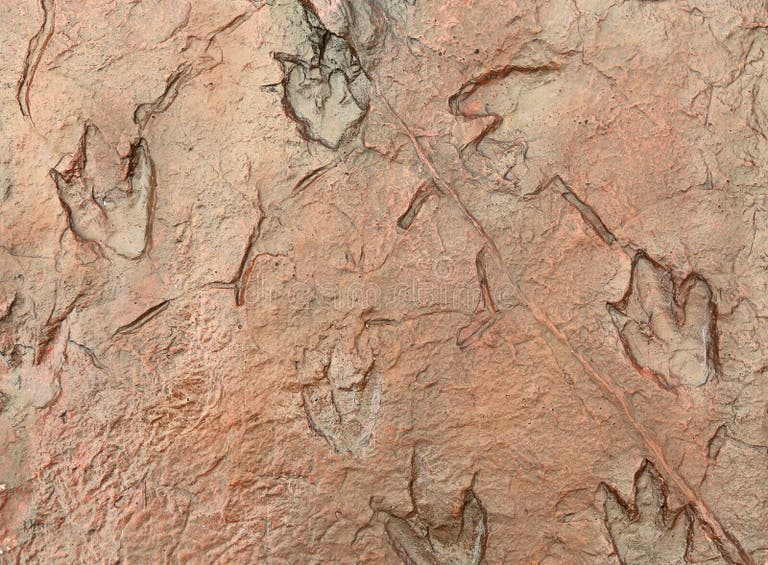 113 Dinosaur Footprints Rocks Stock Photos - Free & Royalty-Free Stock ...