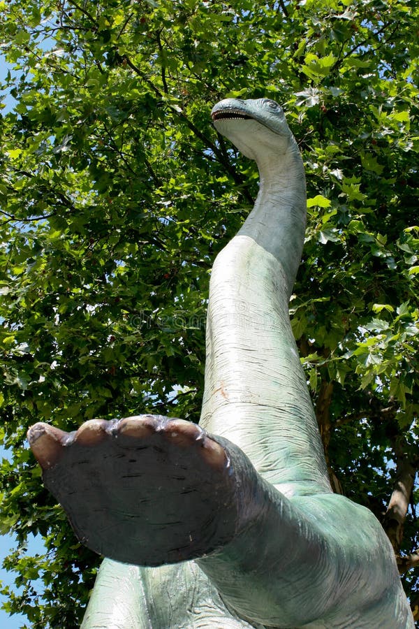 364 Dinosaur Feet Stock Photos - Free & Royalty-Free Stock Photos from ...