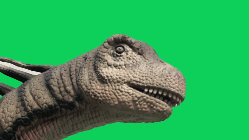 Dinosaur Green Screen Chroma Key Stock Footage - Video of undefined ...