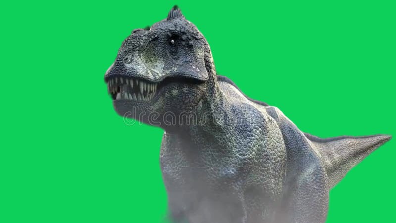 Dinosaur Green Screen Chroma Key Stock Footage - Video of monster ...