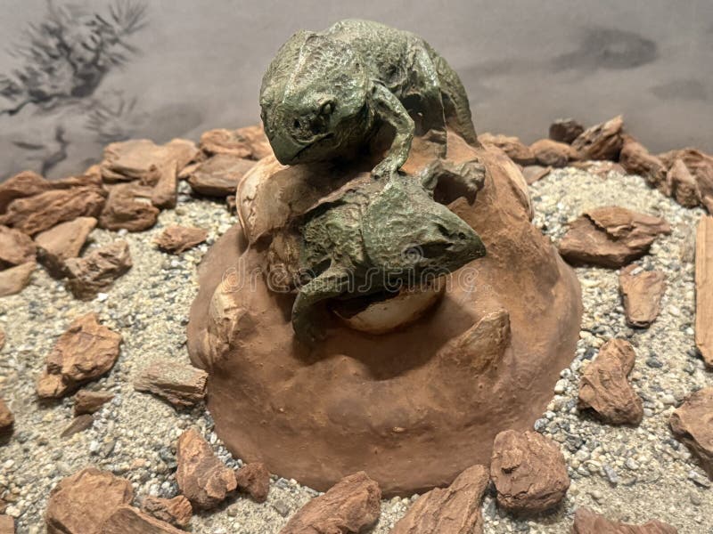 Dinosaur Hall at the Springfield Science Museum in Massachusetts ...