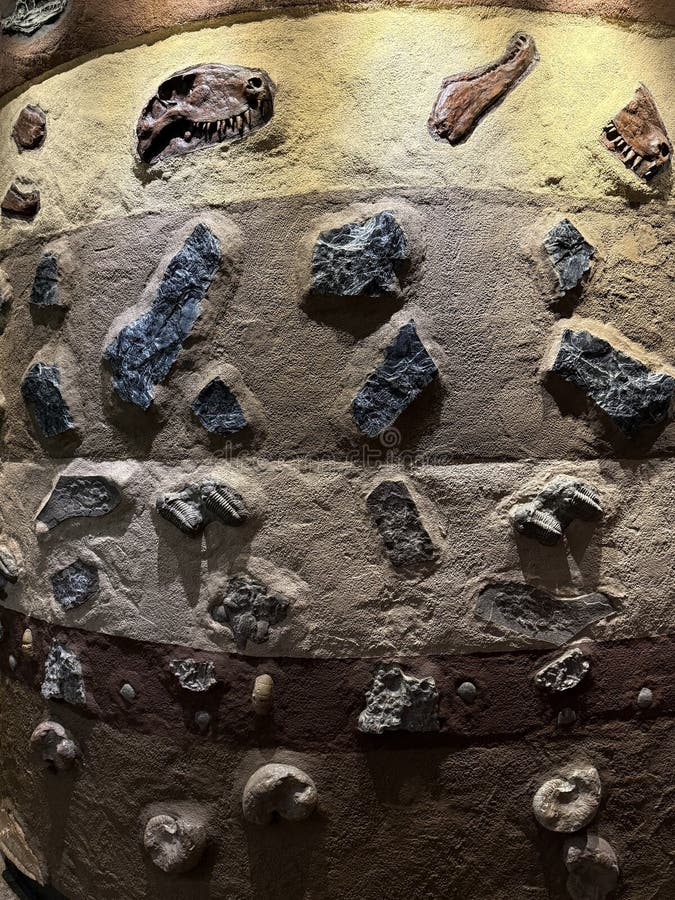 Dinosaur Hall at the Springfield Science Museum in Massachusetts ...