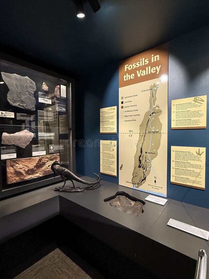 Dinosaur Hall at the Springfield Science Museum in Massachusetts ...