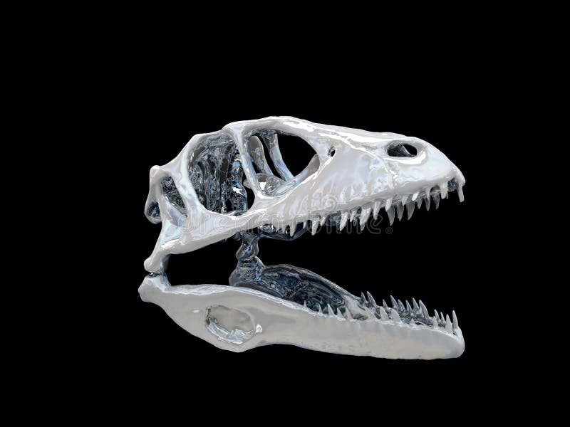 Dinosaur Fossil Head Isolated. Stock Photo - Image of paleontology ...