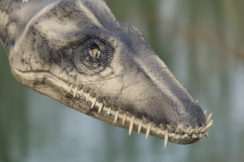 Dinosaur head 3 editorial photo. Image of prehistoric - 134665891