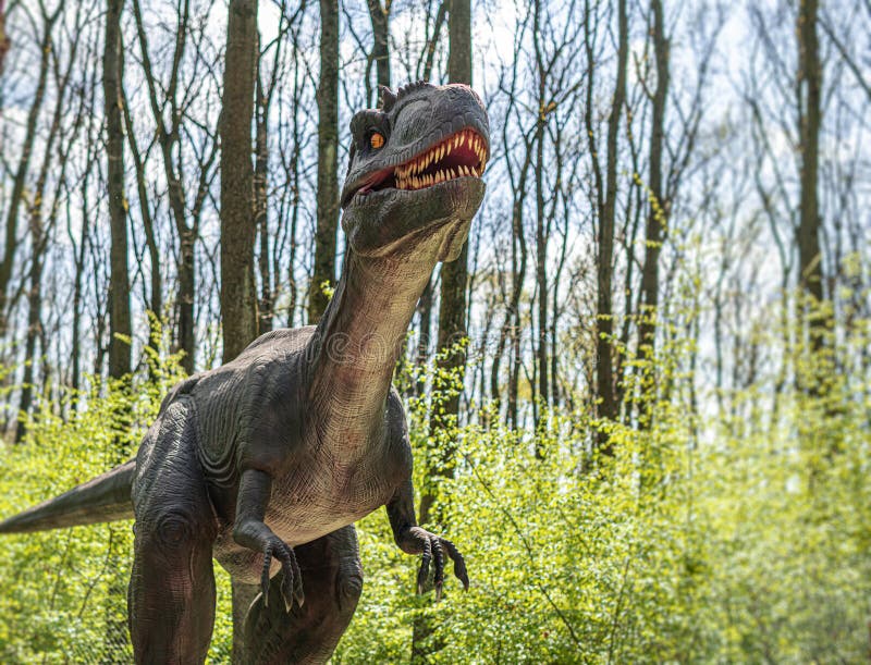 Dinosaur in the jungle. stock image. Image of reptile - 219034031