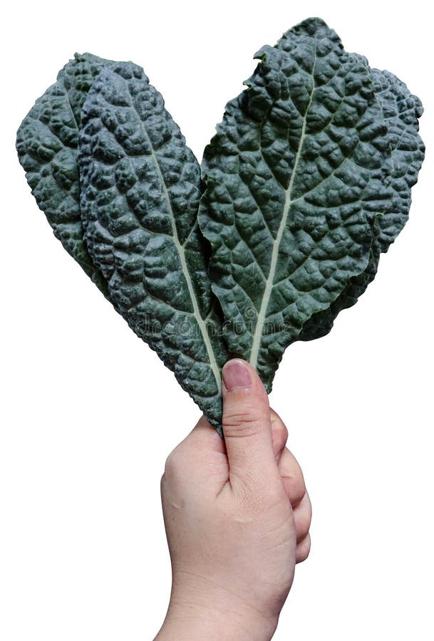 220 Clutched Hand Photos - Free & Royalty-Free Stock Photos from Dreamstime